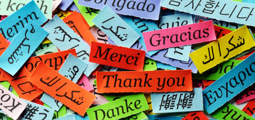 Modern Foreign Languages - St Peter's RC High School & Sixth Form Centre